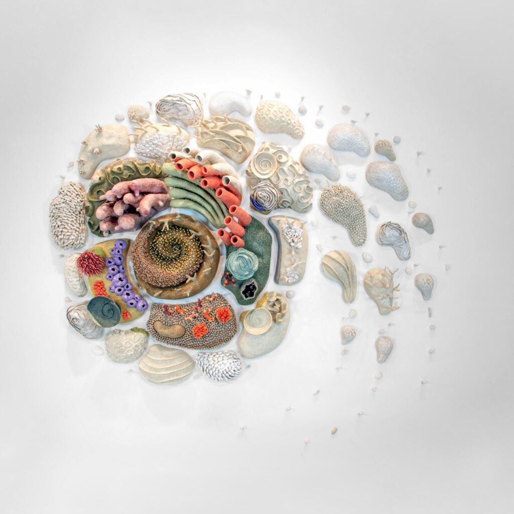 » Courtney Mattison