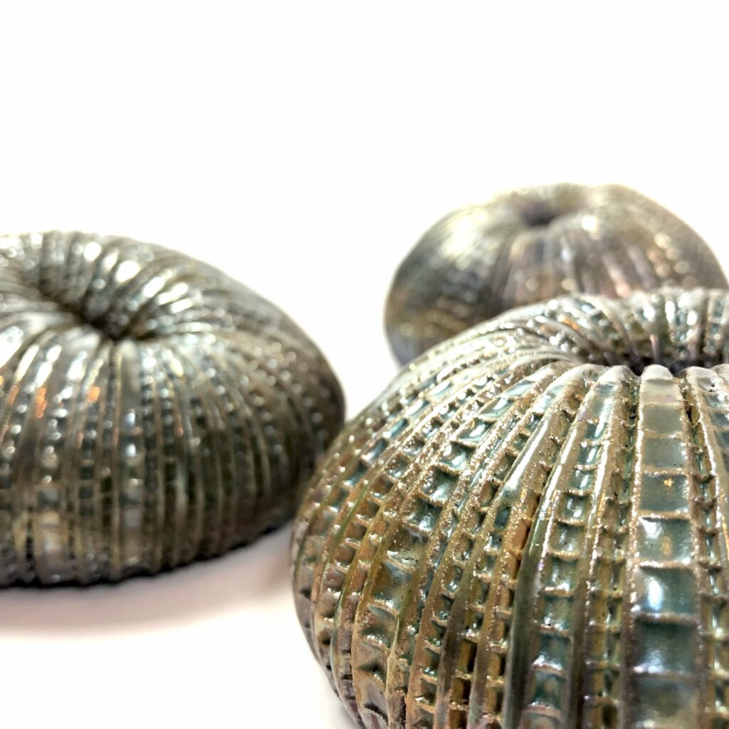 » Christopher Edwards