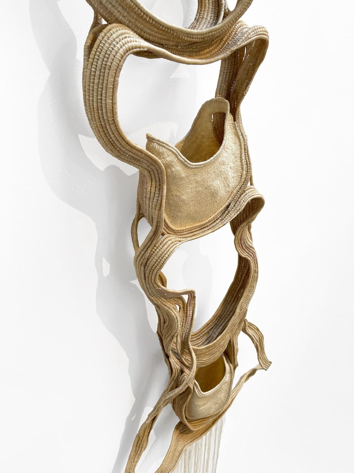 » Building the Essentials: Ferne Jacobs